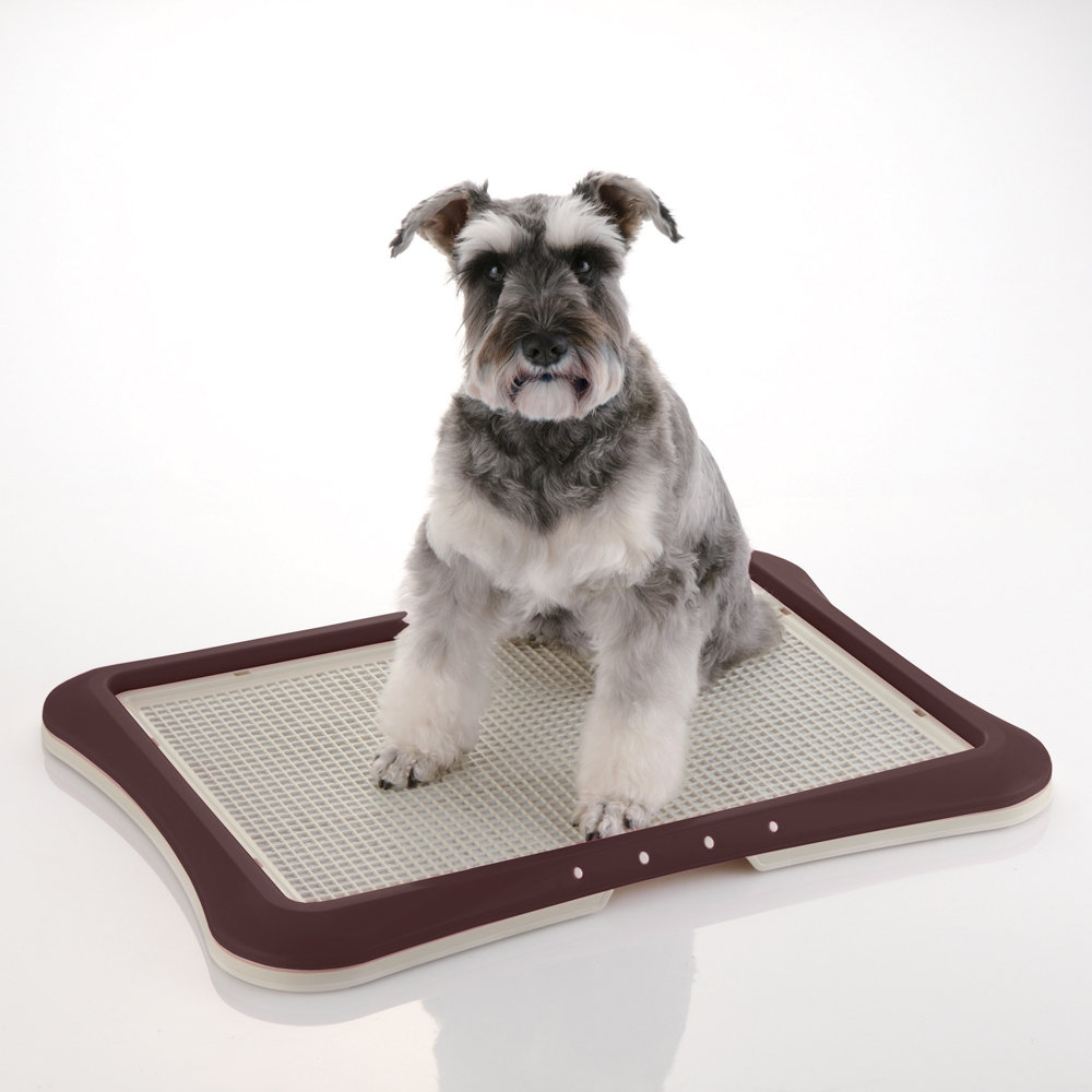 Richell Evelet Mesh Training Tray - Wayfair Canada
