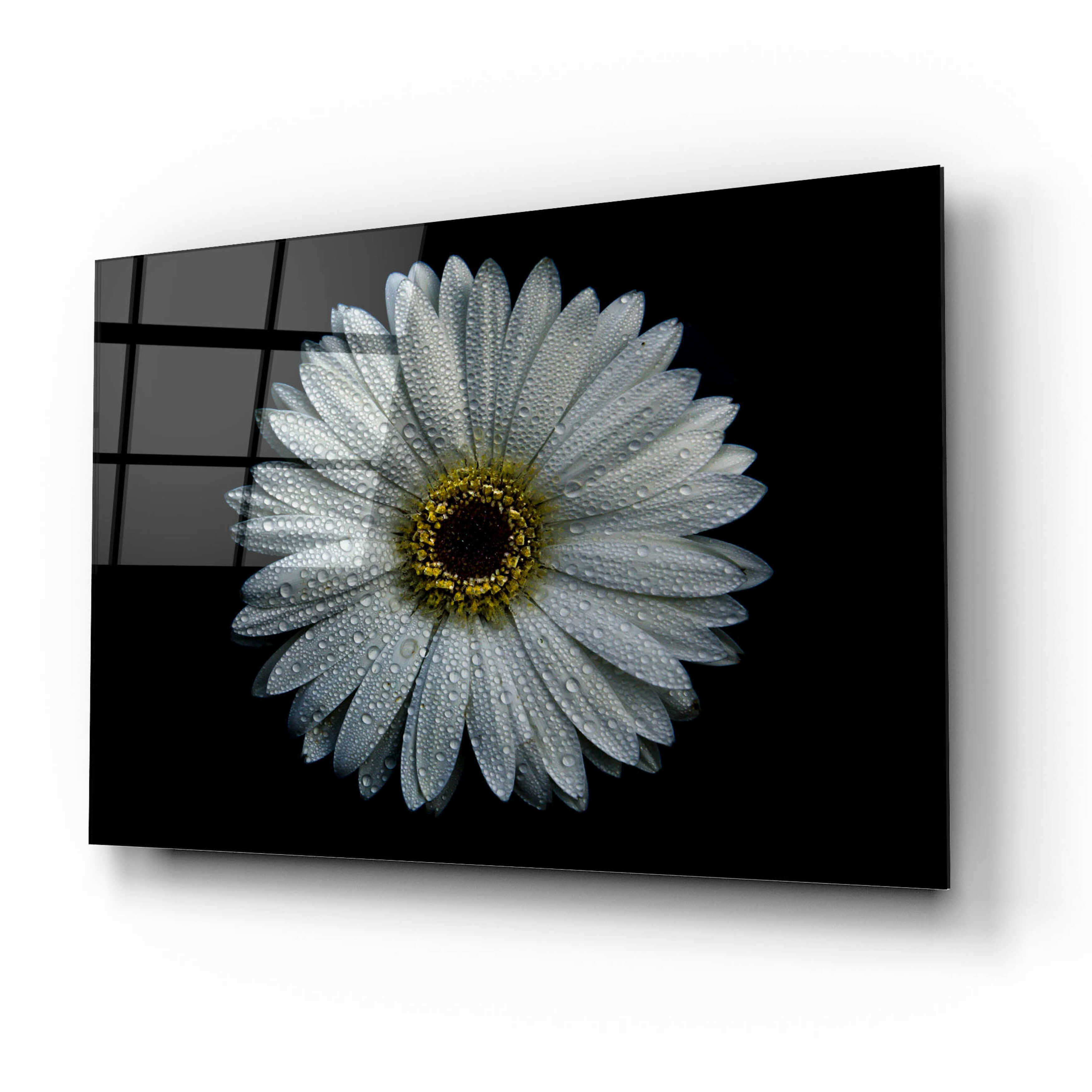 Latitude Run® 'Backyard Flowers 71 Colour Version' By Brian Carson ...