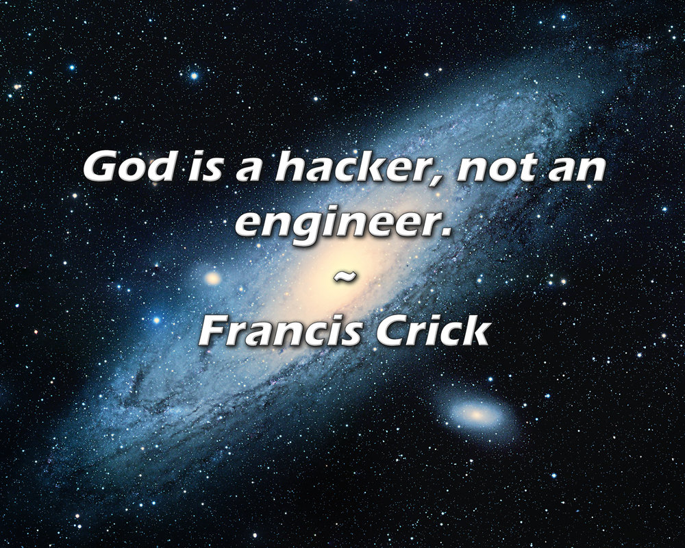 Trinx Francis Crick Quote: God is a hacker, not an engineer. - Wayfair ...
