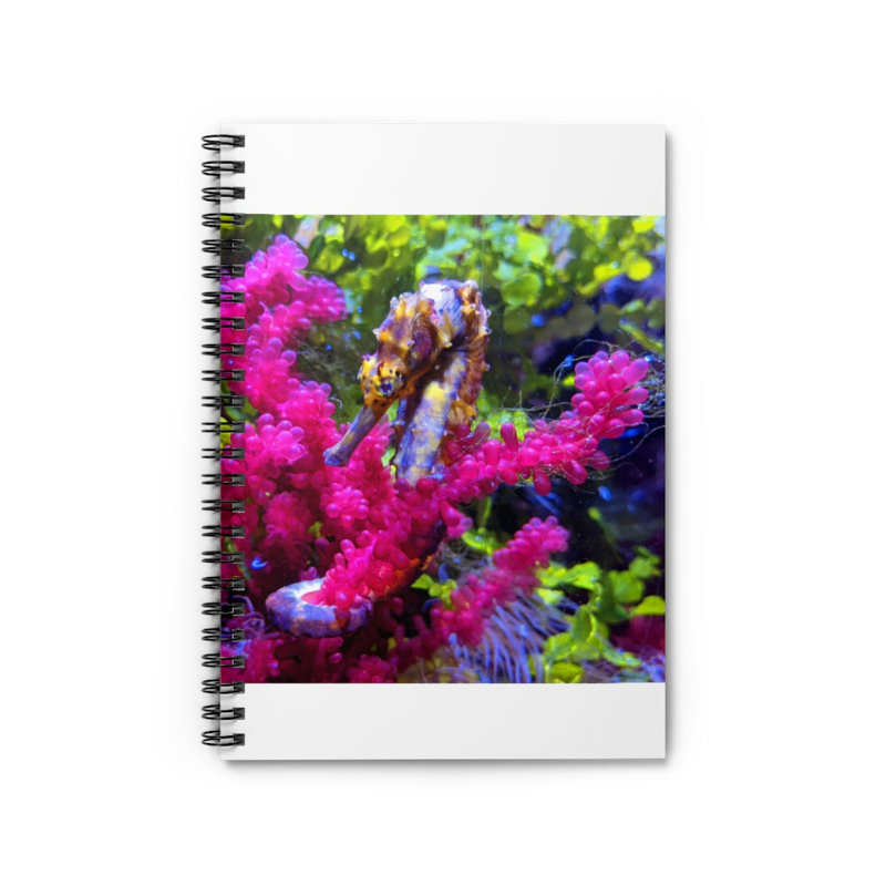 Marick Booster Seahorse Spiral Notebook | Wayfair
