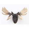 Hi-Line Gift Ltd. Moose Head Wall Décor & Reviews | Wayfair