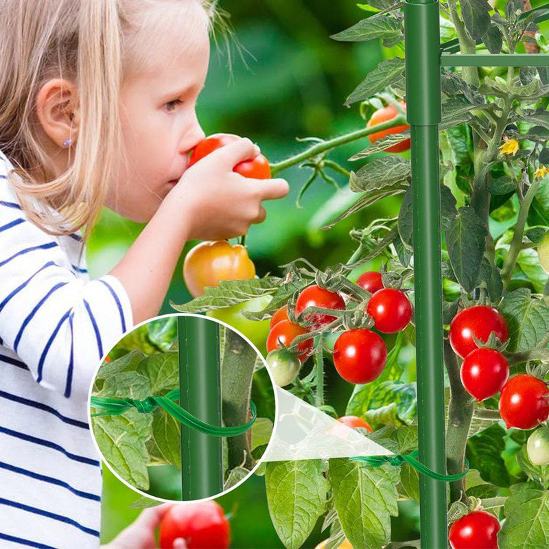 Arlmont & Co. 3 Pack Tomato Cages for Garden, 51 Inches Adjustable ...