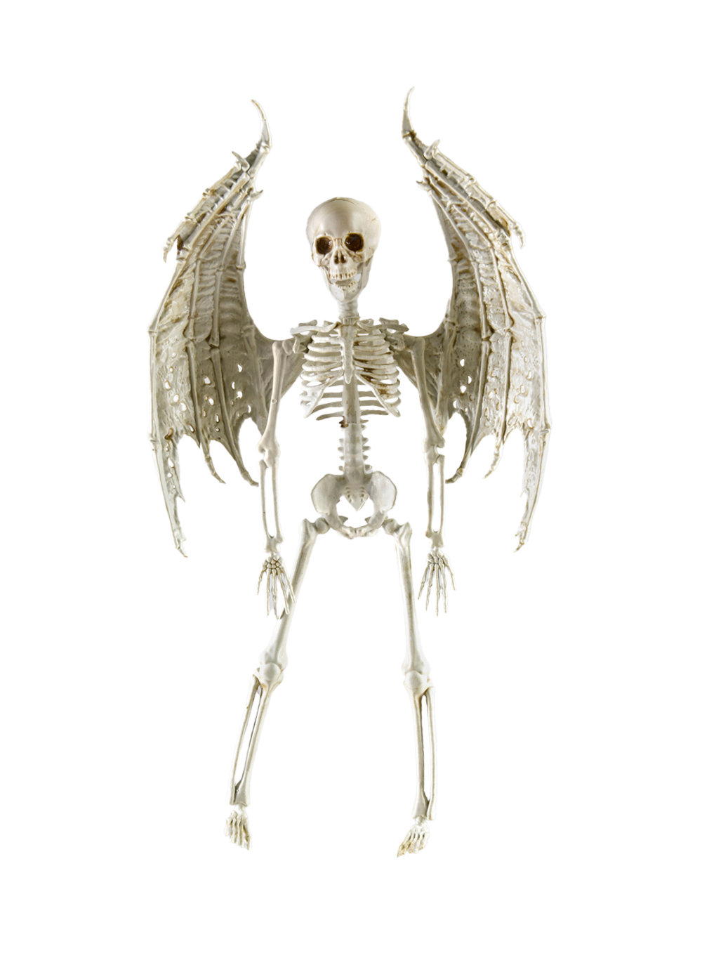 The Holiday Aisle® Angel Skeleton, 12 PCS 16" Hanging Skeleton With ...