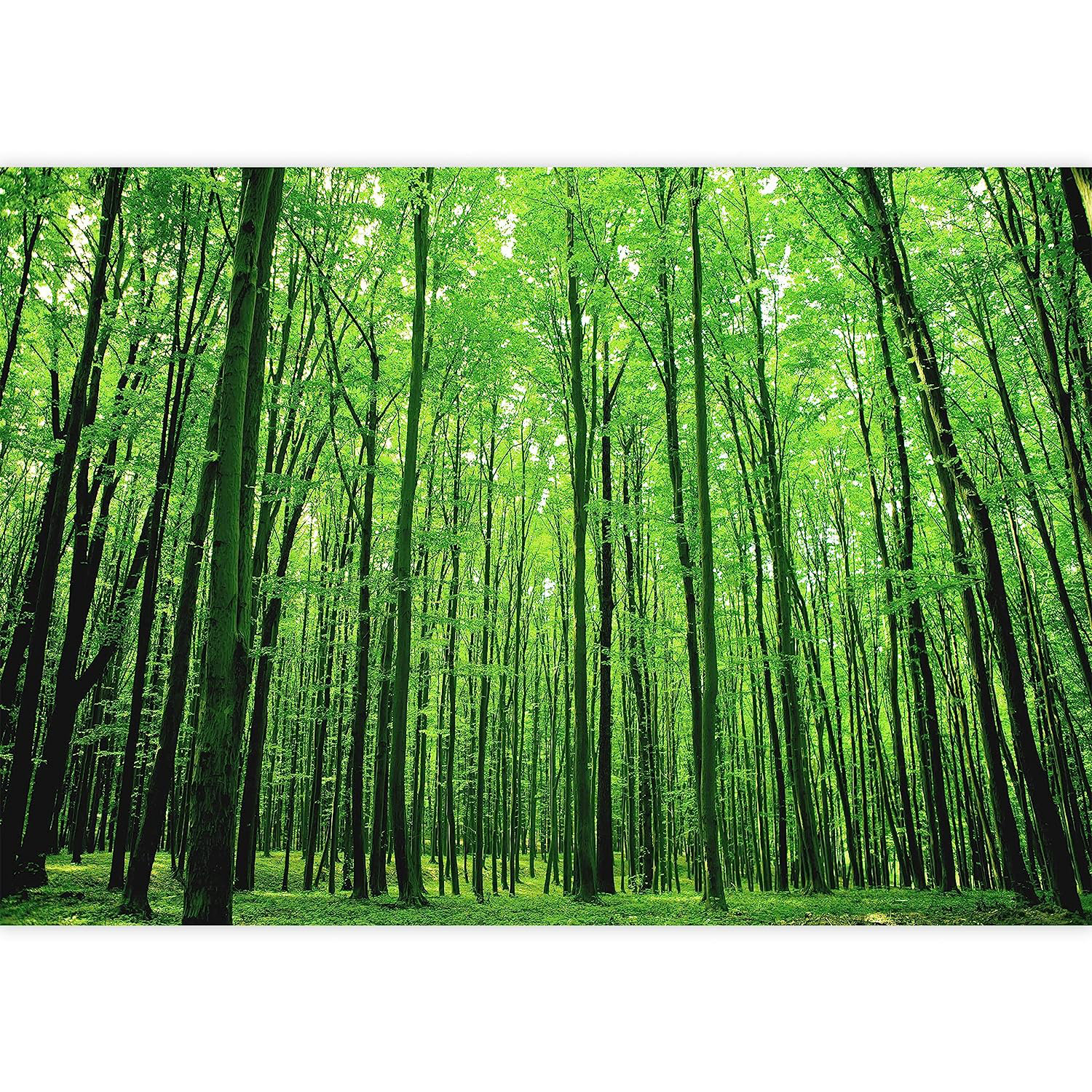 IDEA4WALL Vibrant Green Forest Tree Leaf Scenery Paintable Wall Mural ...