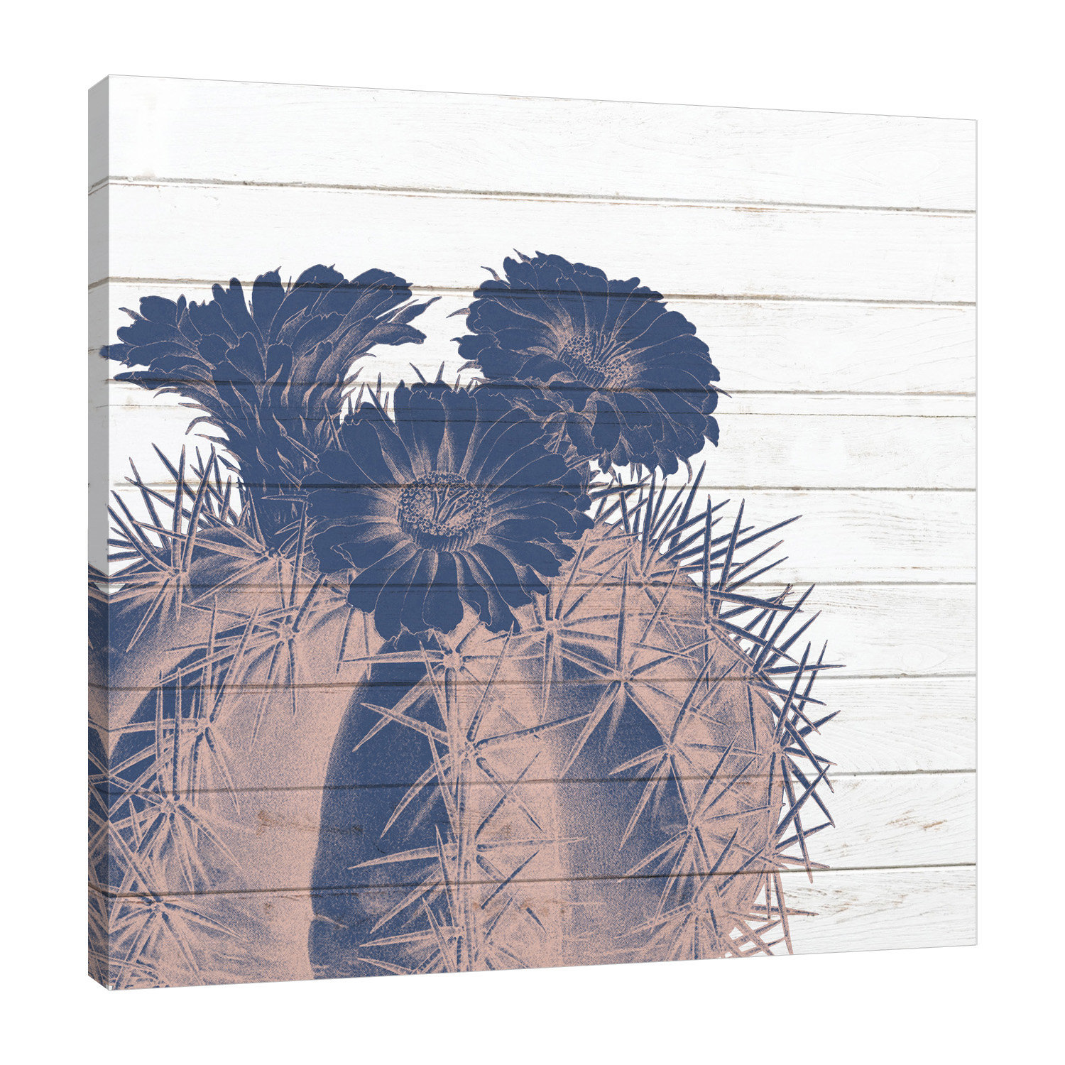 Jaxson Rea "Desert Flower 1" Gallery Wrapped Canvas By Kimberly Allen ...