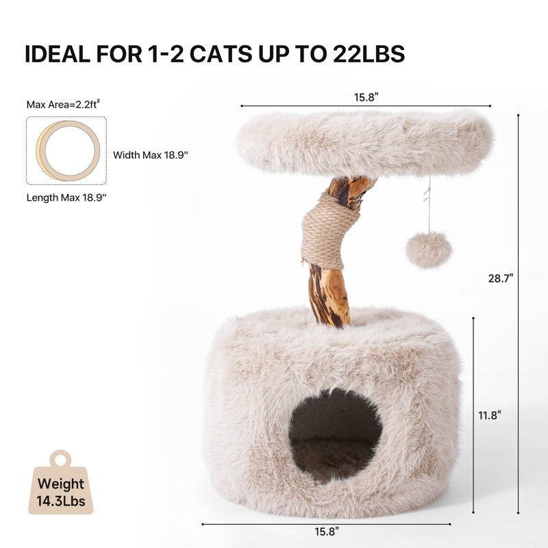 Tucker Murphy Pet™ Modern 28.7"H Unique Cat Tree for Big Cats&MaineCoon ...