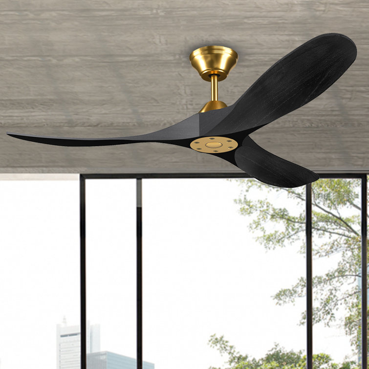 Ivy Bronx Caeden Ceiling Fan & Reviews | Wayfair