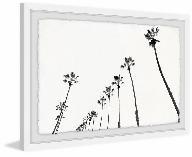 Wrought Studio Bunch of Palm Trees - Picture Frame Photograph Print ...