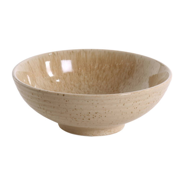 Union Rustic Aeris Earthenware Dinnerware Set - Service for 4 & Reviews ...