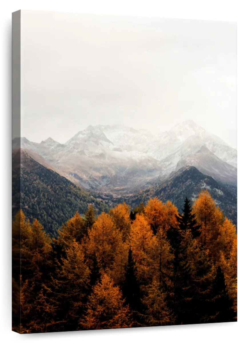 Millwood Pines Alvord Bishop II | Wayfair