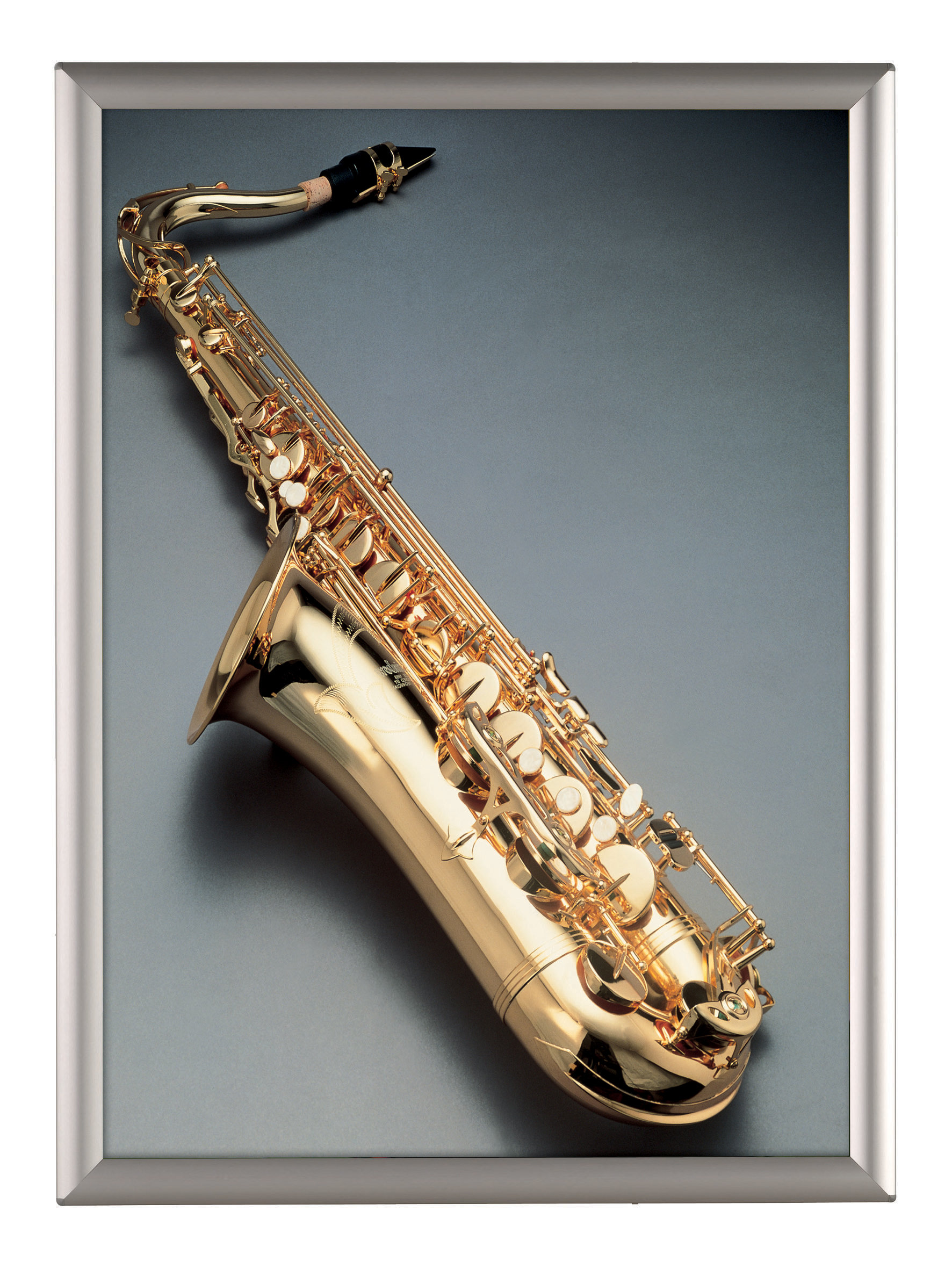 MT Displays Opti Wall Mounted Poster Frame | Wayfair