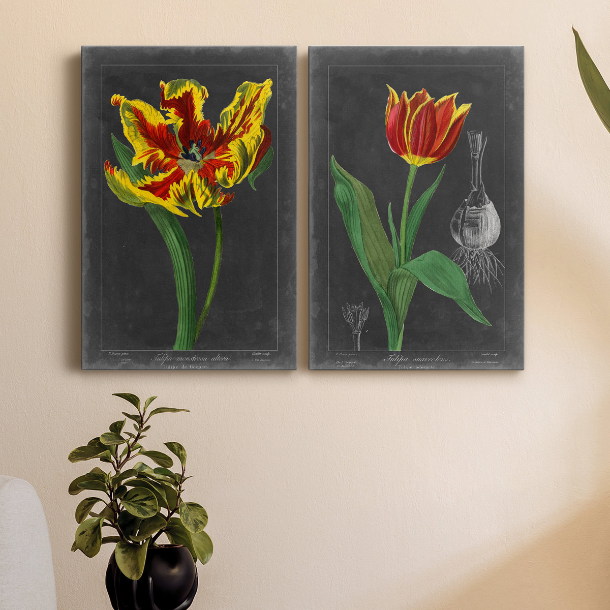 August Grove® Midnight Tulip III - 2 Piece Wrapped Canvas Painting ...