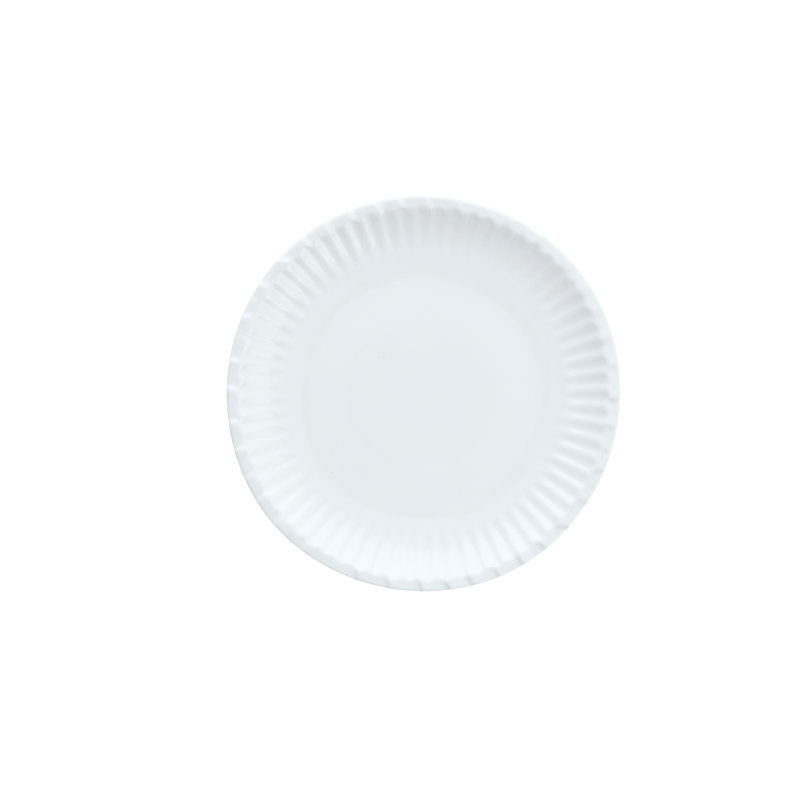 Fortessa Street Eats Paper Appetizer Plate | Wayfair