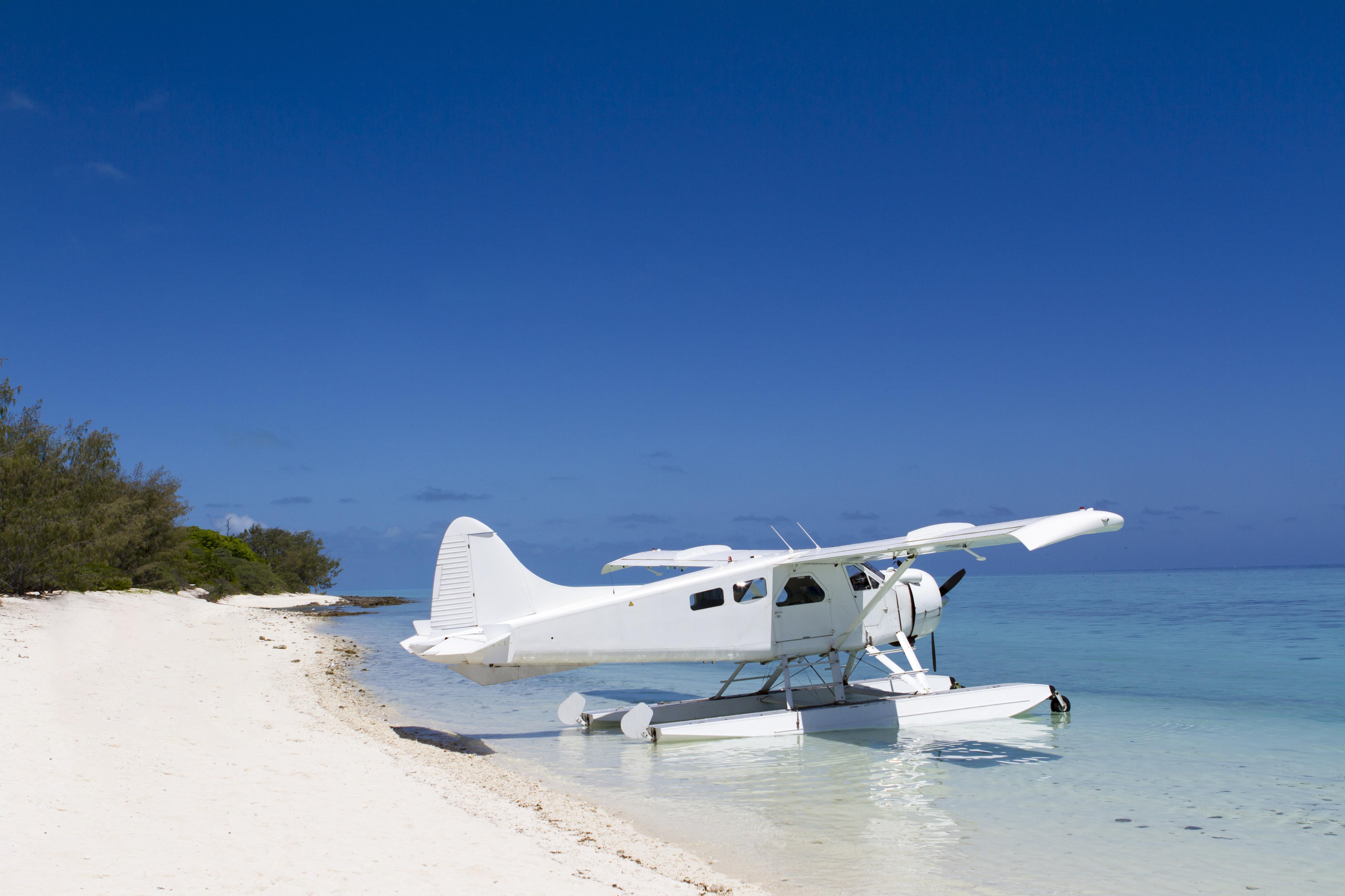 House of Hampton Seaplane By The Beach | Wayfair.co.uk
