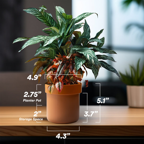 WYZworks Flower Pot Diversion Safe with Secret Hidden Lock Box Storage ...