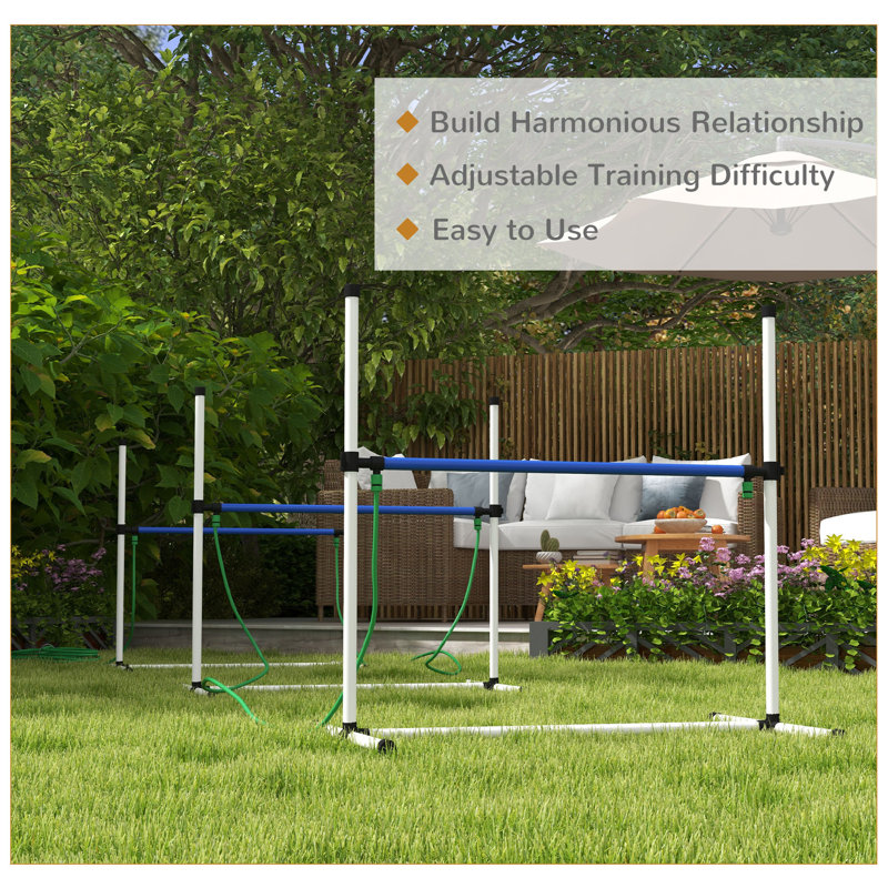 Pawhut Agility Set with Carrying Case | Wayfair