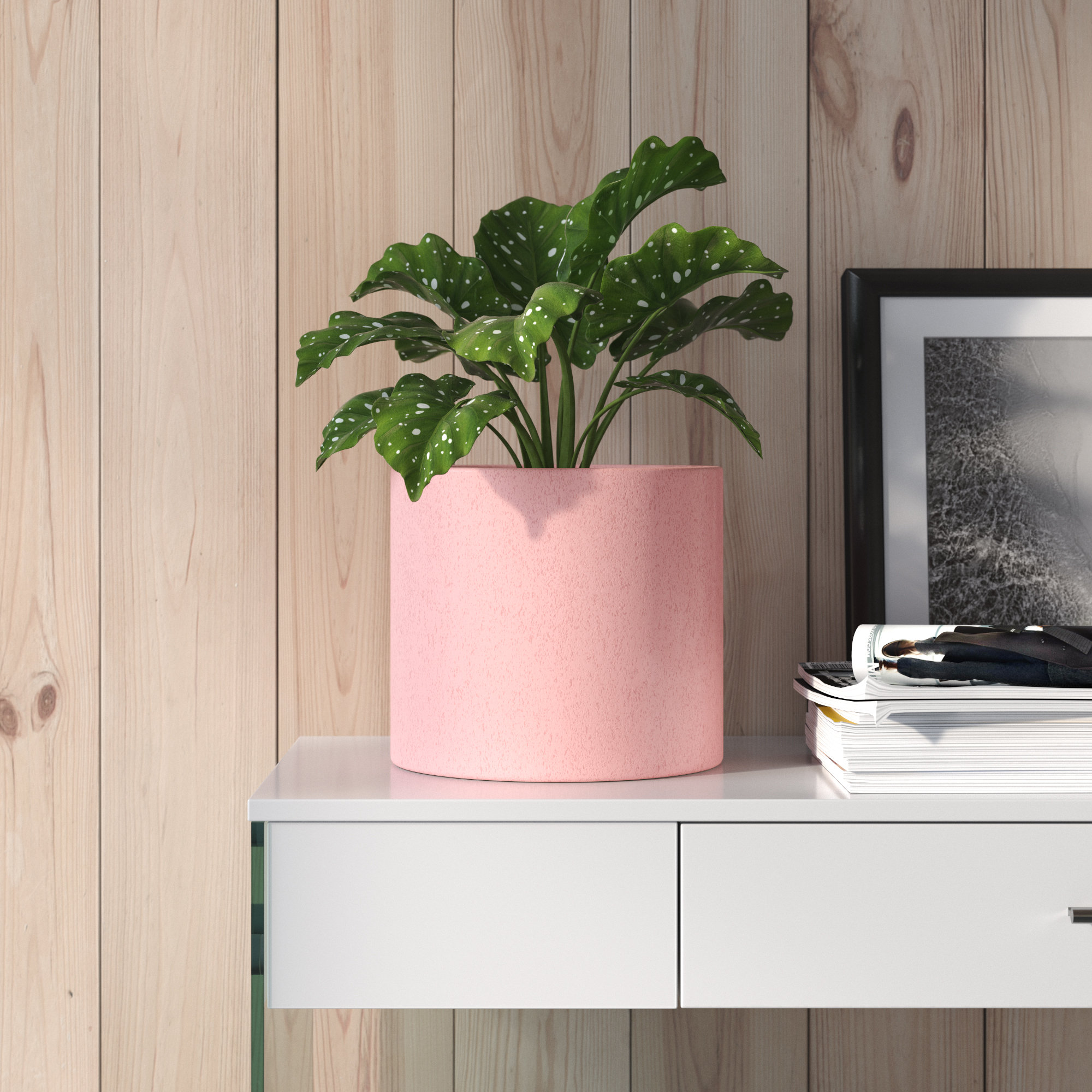 Wade Logan Allayne Ceramic Pot Planter & Reviews - Wayfair Canada