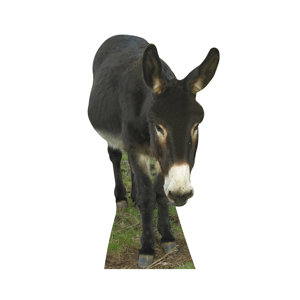 Star Cutouts Donkey Cardboard Standup | Wayfair