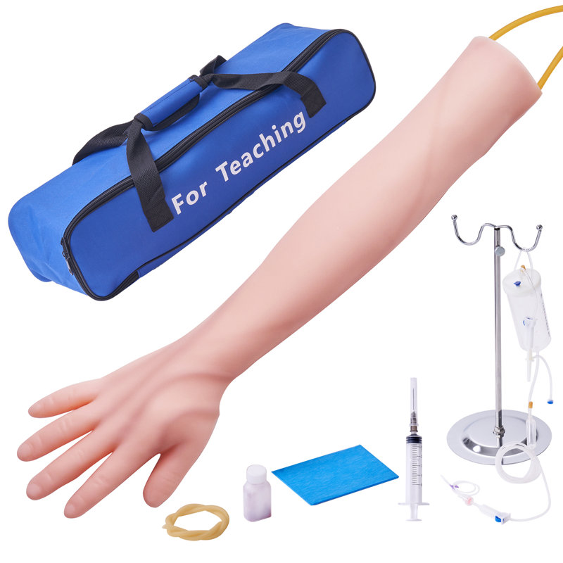 VEVOR Venipuncture Intravenous Training Kit | Wayfair