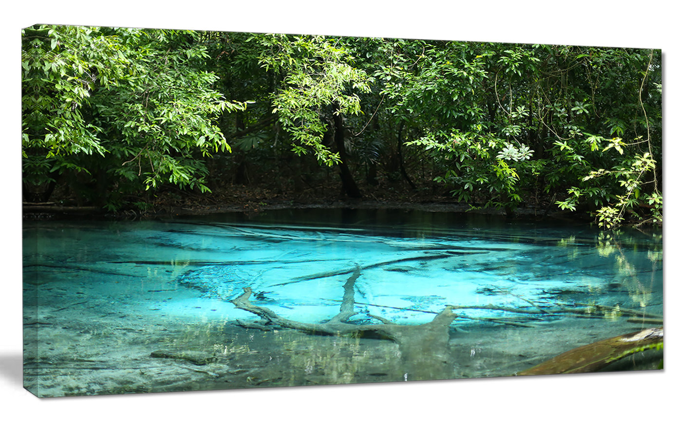 Design Art 'Emerald Pond in Deep Forest' Photographic Print on Wrapped ...