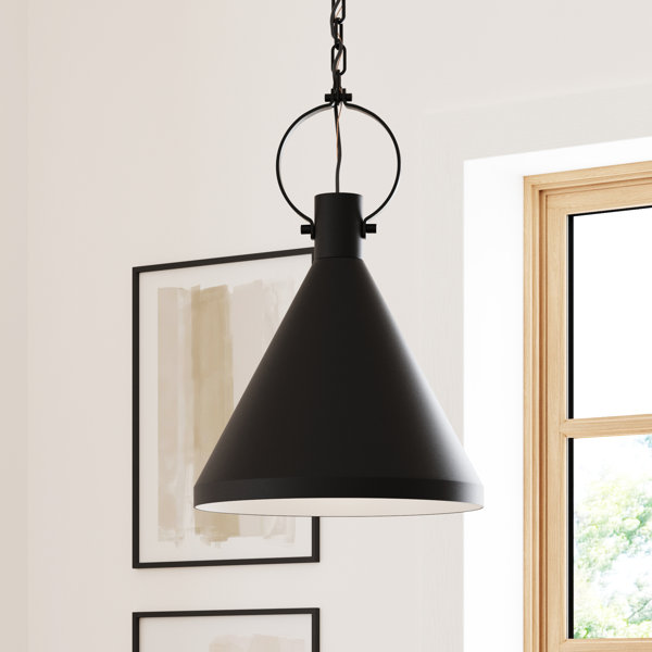 Trent Austin Design® Lauro 1 - Light Pendant & Reviews | Wayfair