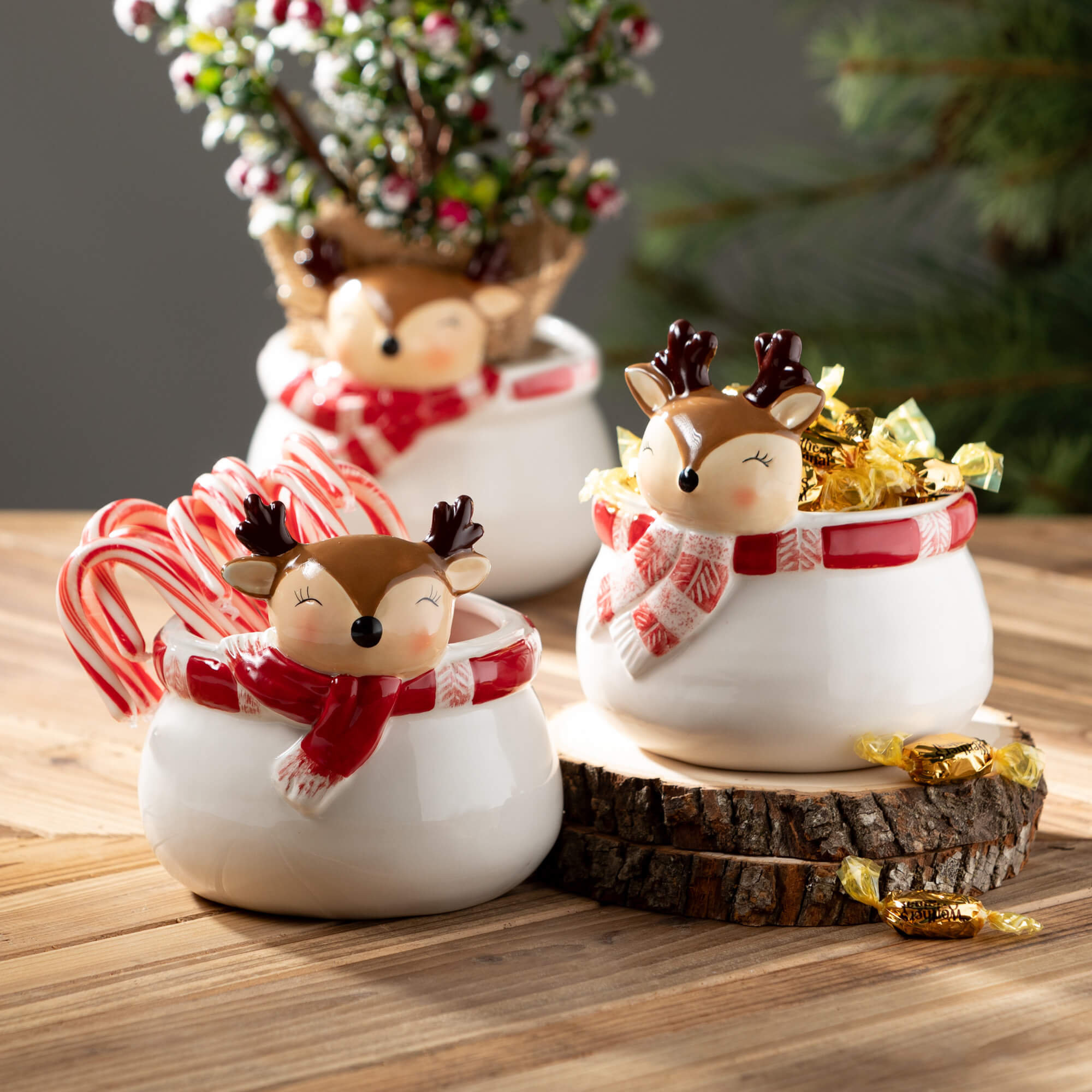 The Holiday Aisle® 5.5" Christmas Whimsical Reindeer Containers Set of ...