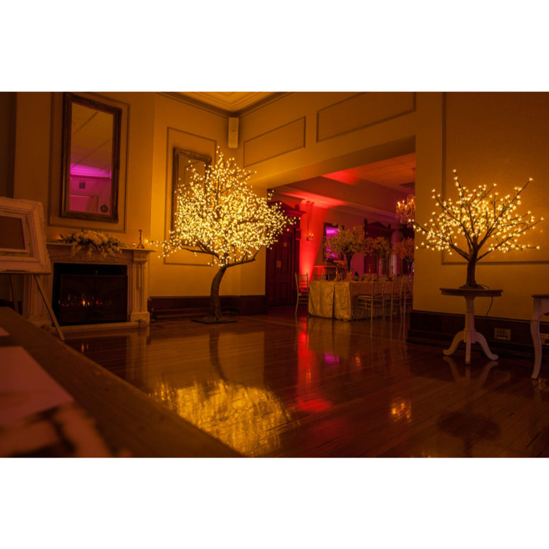 Illuminated Trees 10 Foot Cherry Blossom Tree, Clear Cherry Flower ...