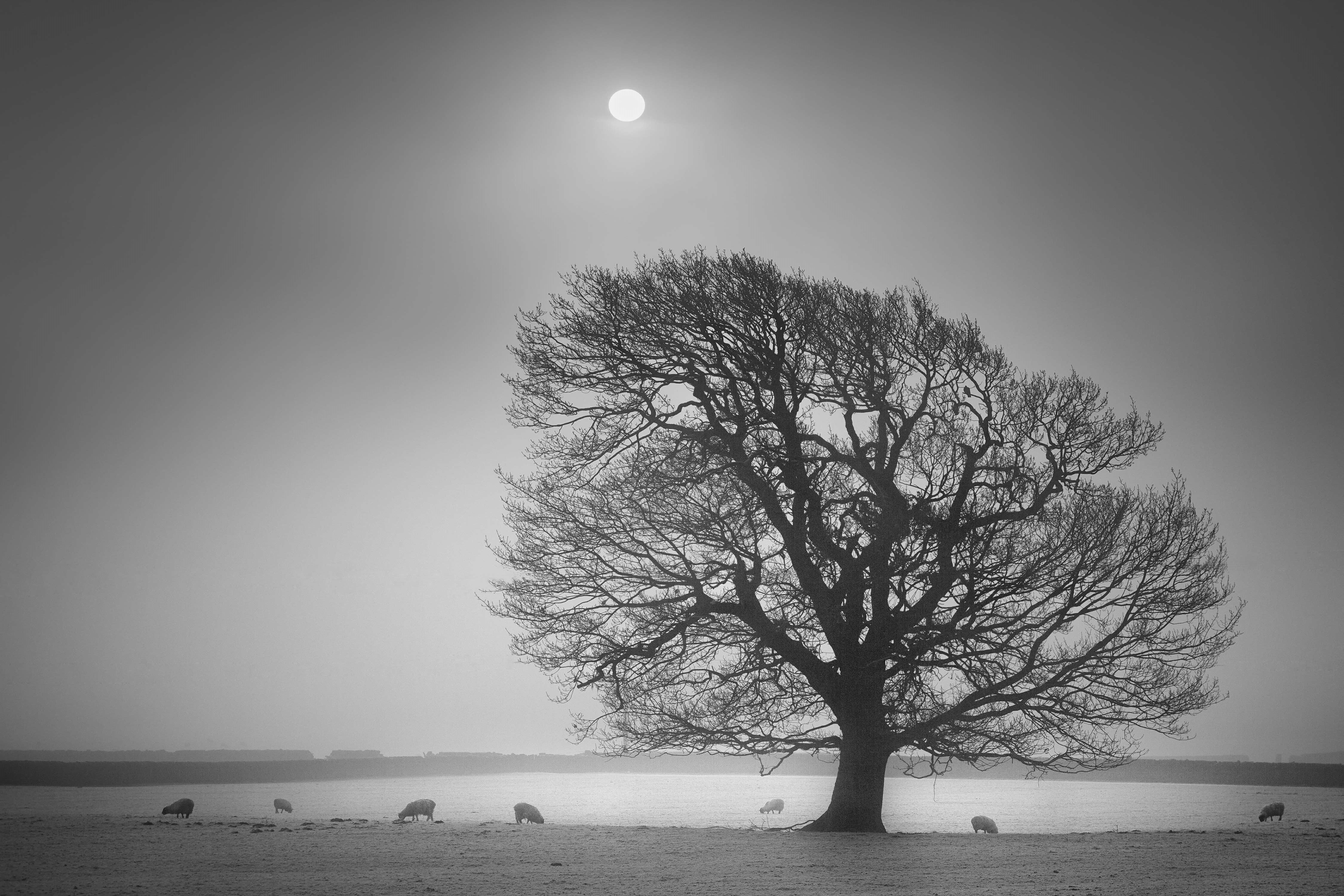 Red Barrel Studio® Evening Light II | Wayfair