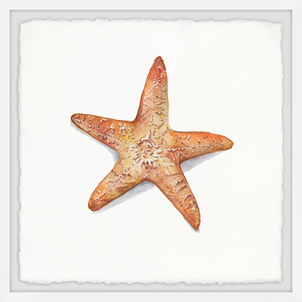 ParvezTaj Starry Shell Diptych B - 12X12 - Wayfair Canada