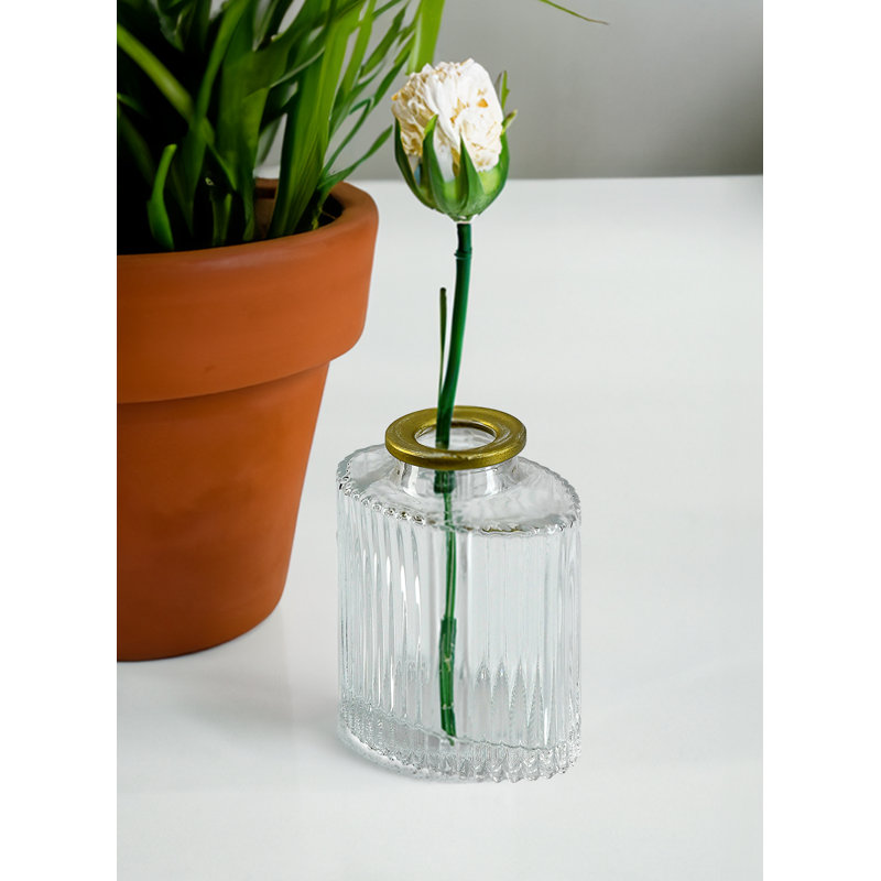 Wildon Home® Aleaha Glass Decorative Bottles | Wayfair