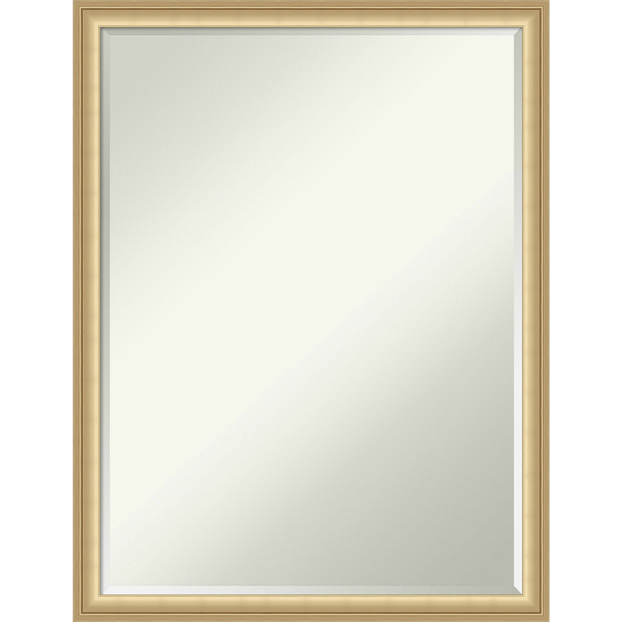 Winston Porter Merrile Rectangle Wall Mirror | Wayfair