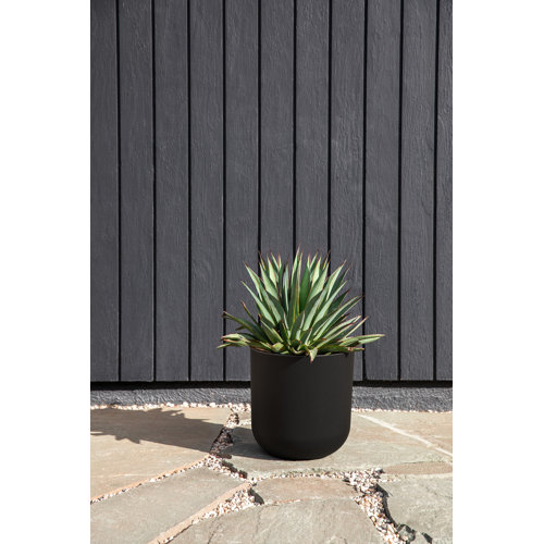 Planters You'll Love | Wayfair