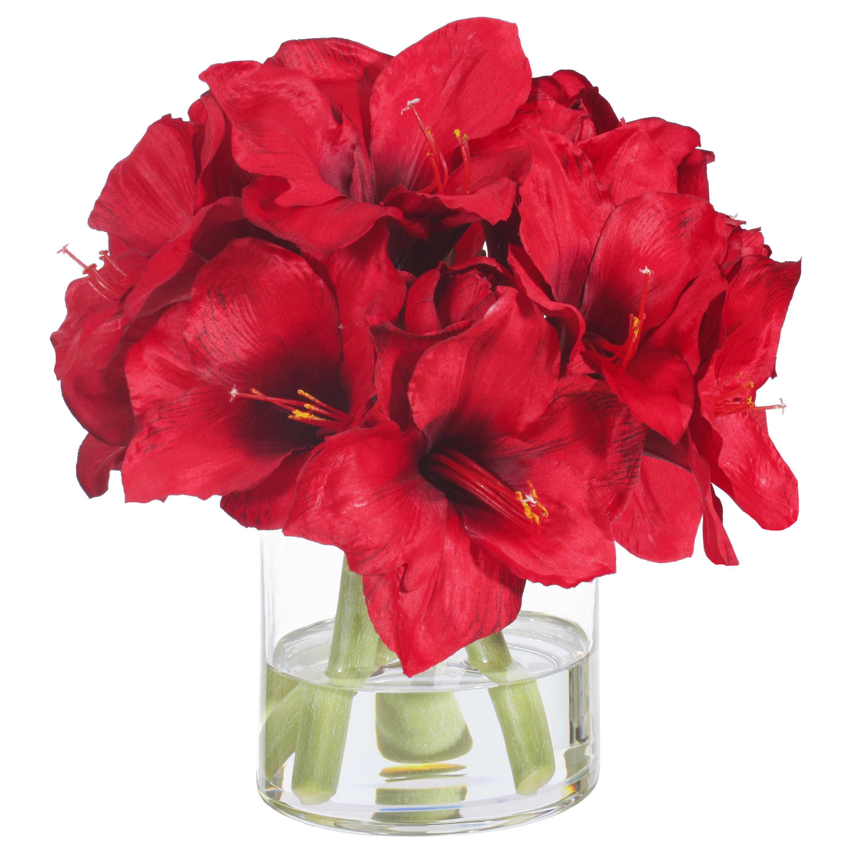 Winward Silks Garden Amaryllis Floral Arrangement in Vase | Perigold