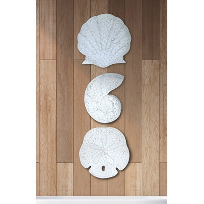 Rosecliff Heights 3 Piece Shells Wall Décor Set & Reviews | Wayfair