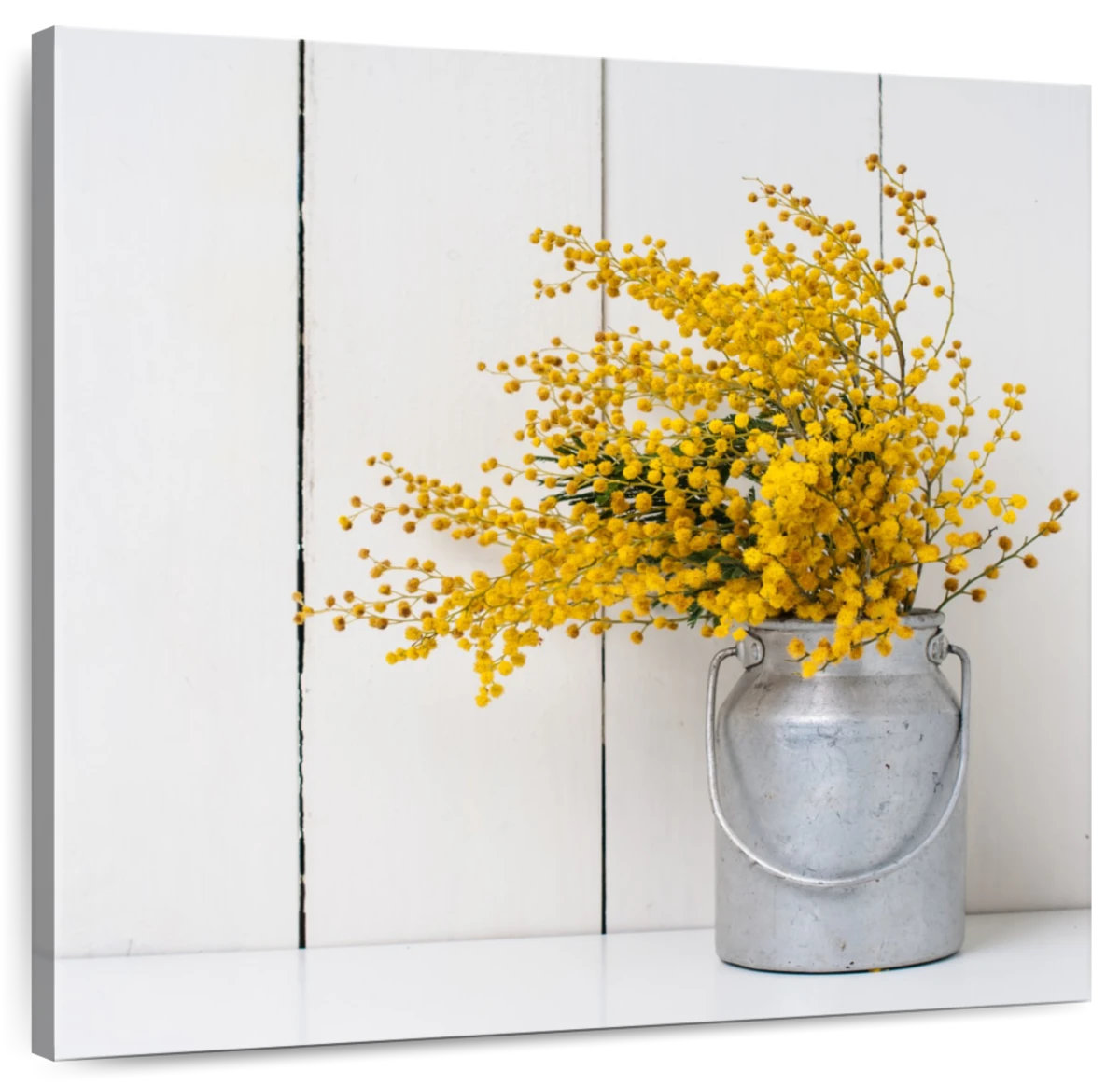Lark Manor™ Harnek Yellow Mimosa Flowers - Wayfair Canada