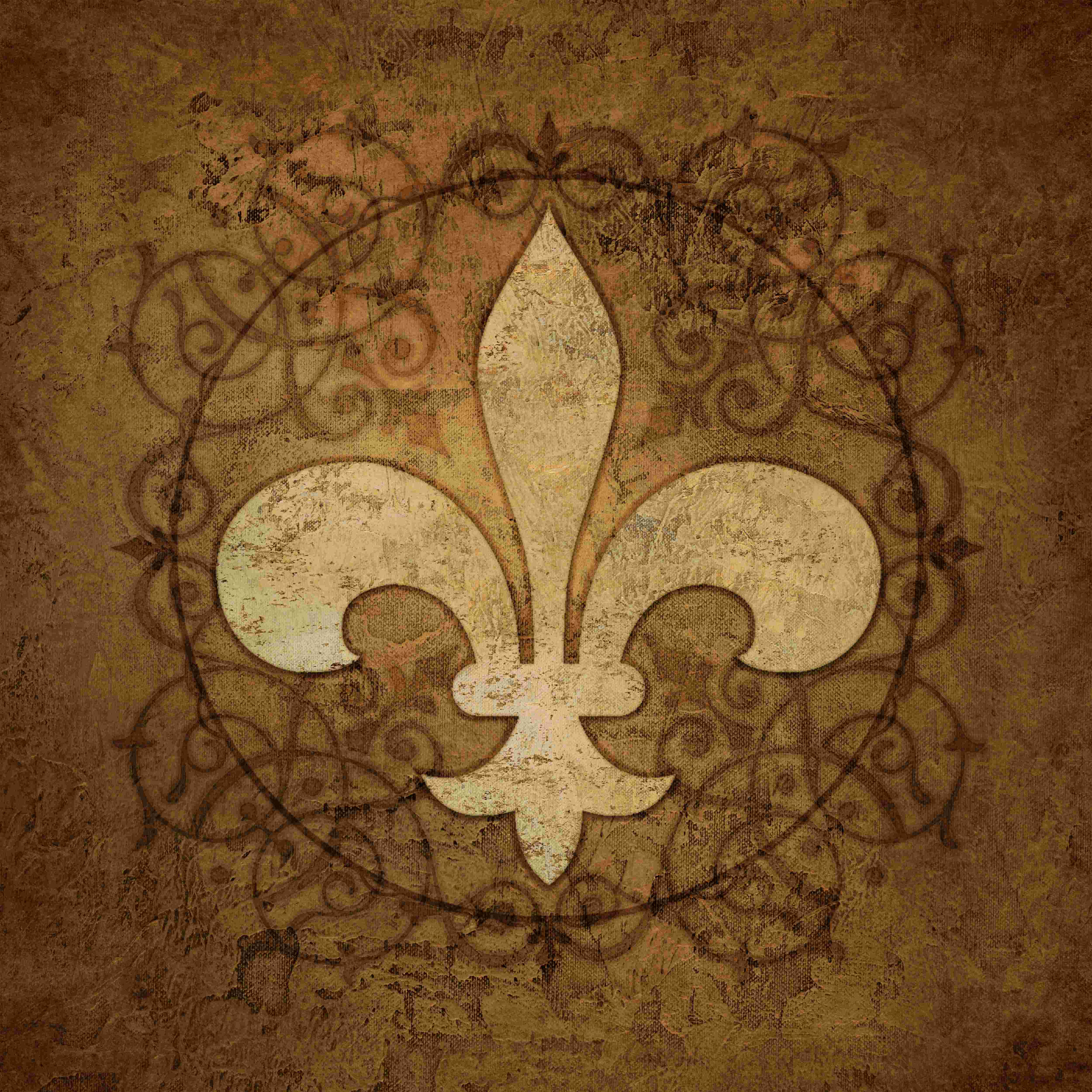 Fleur De Lis Living Golden Fleur De Lis - Wayfair Canada