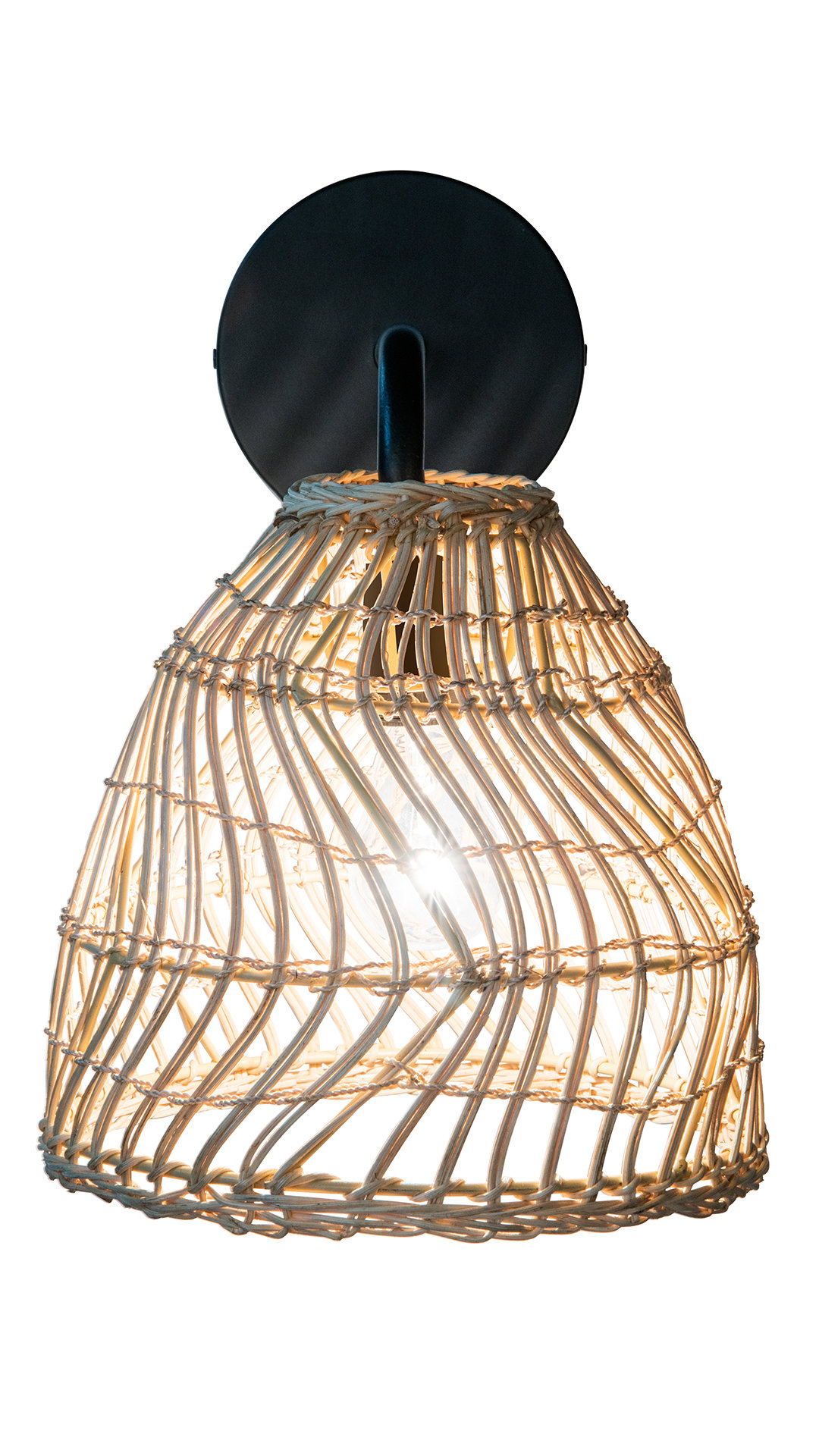 Bayou Breeze Aletse 1 - Light Dimmable Black Armed Sconce - Wayfair Canada