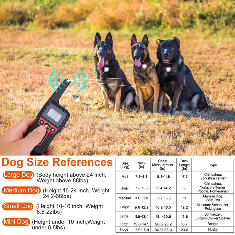 Edge Collections Static Electric Fence Collar | Wayfair