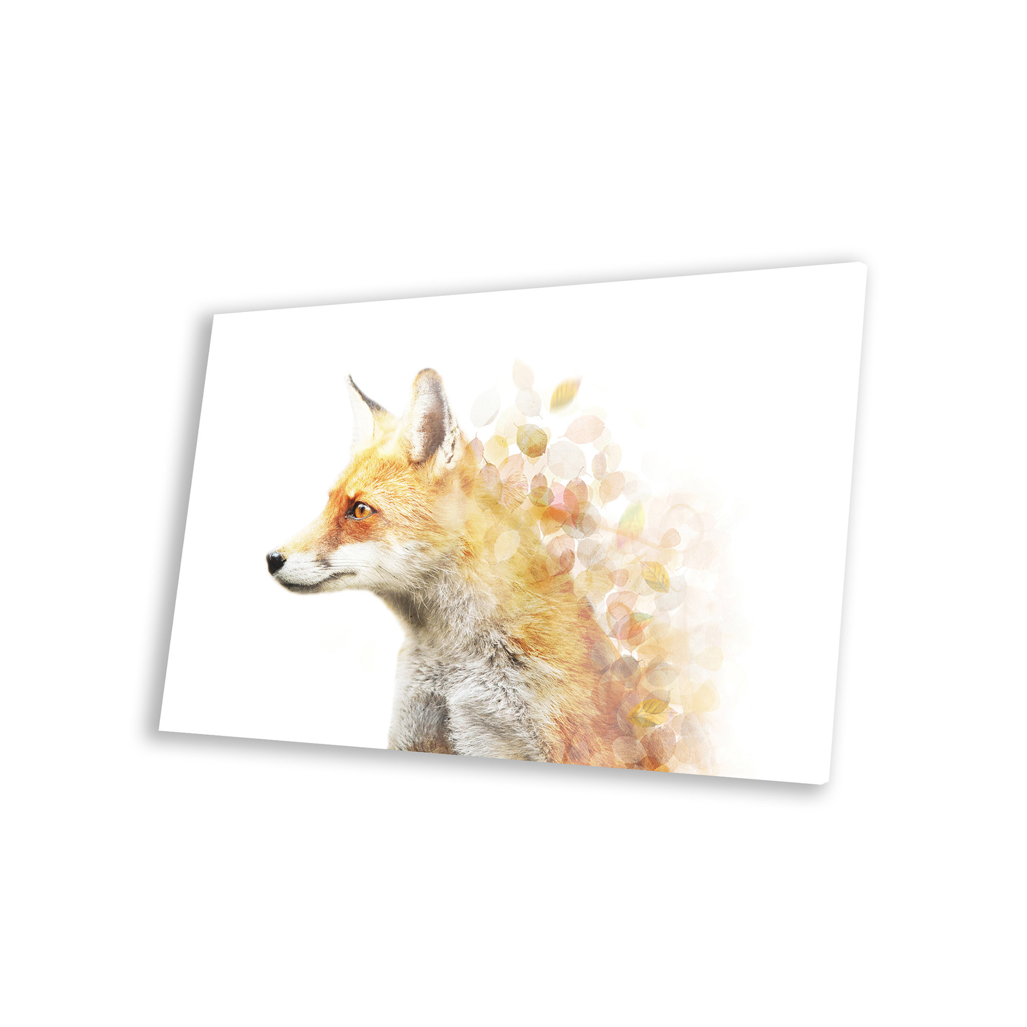 Millwood Pines Winter Foxy Print On Acrylic Glass - Wayfair Canada