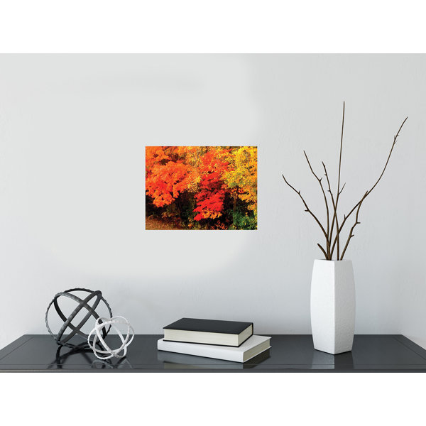 Latitude Run® Autumn Potourri Framed by Michelle Deegan Print - Wayfair ...