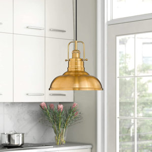 Everly Quinn Tanaja 1 - Light Single Dome Pendant "& Reviews" | Wayfair