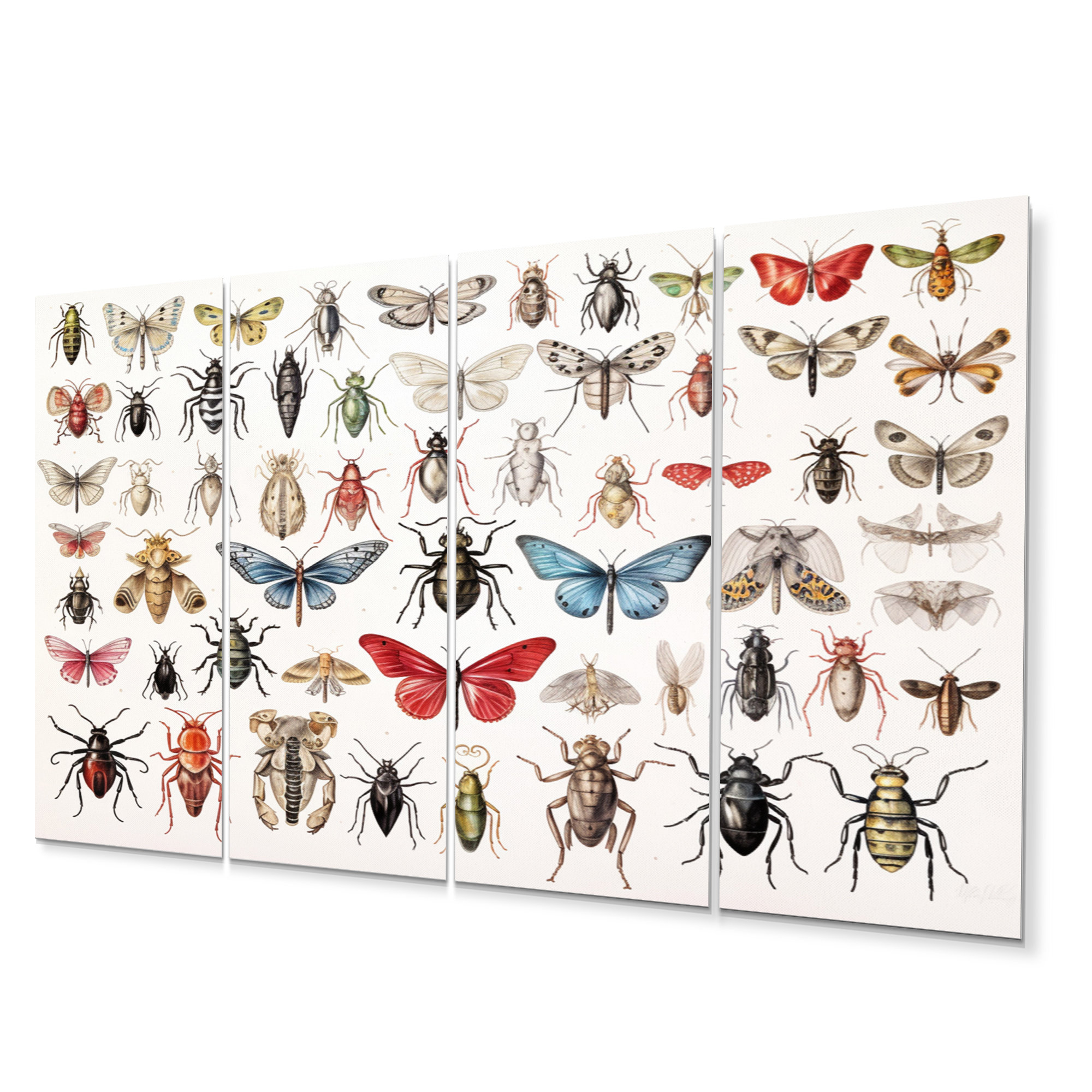Laurel Foundry Modern Farmhouse Tiny Insect Wonders II - Insects & Bugs ...