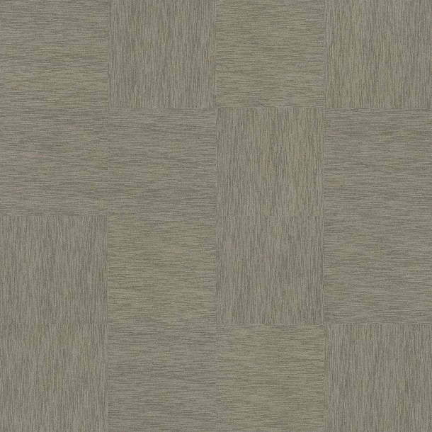 Shaw Floors Explorer 24-in x 24-in Multi-Level Loop Adhesive Carpet ...