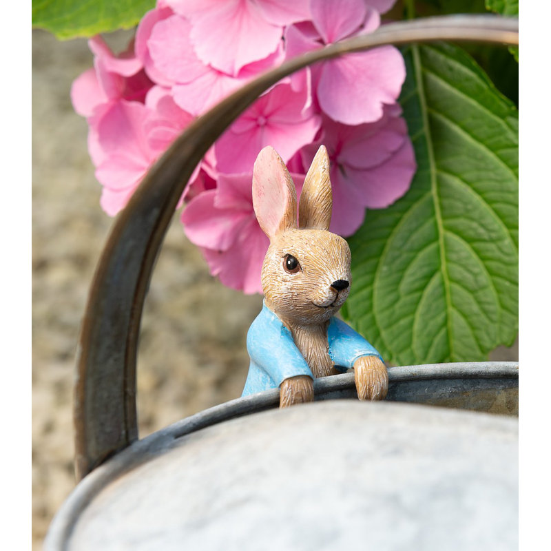 Jardinopia Beatrix Potter Peter Rabbit Climbing Pot Buddy Pot Hanger In ...