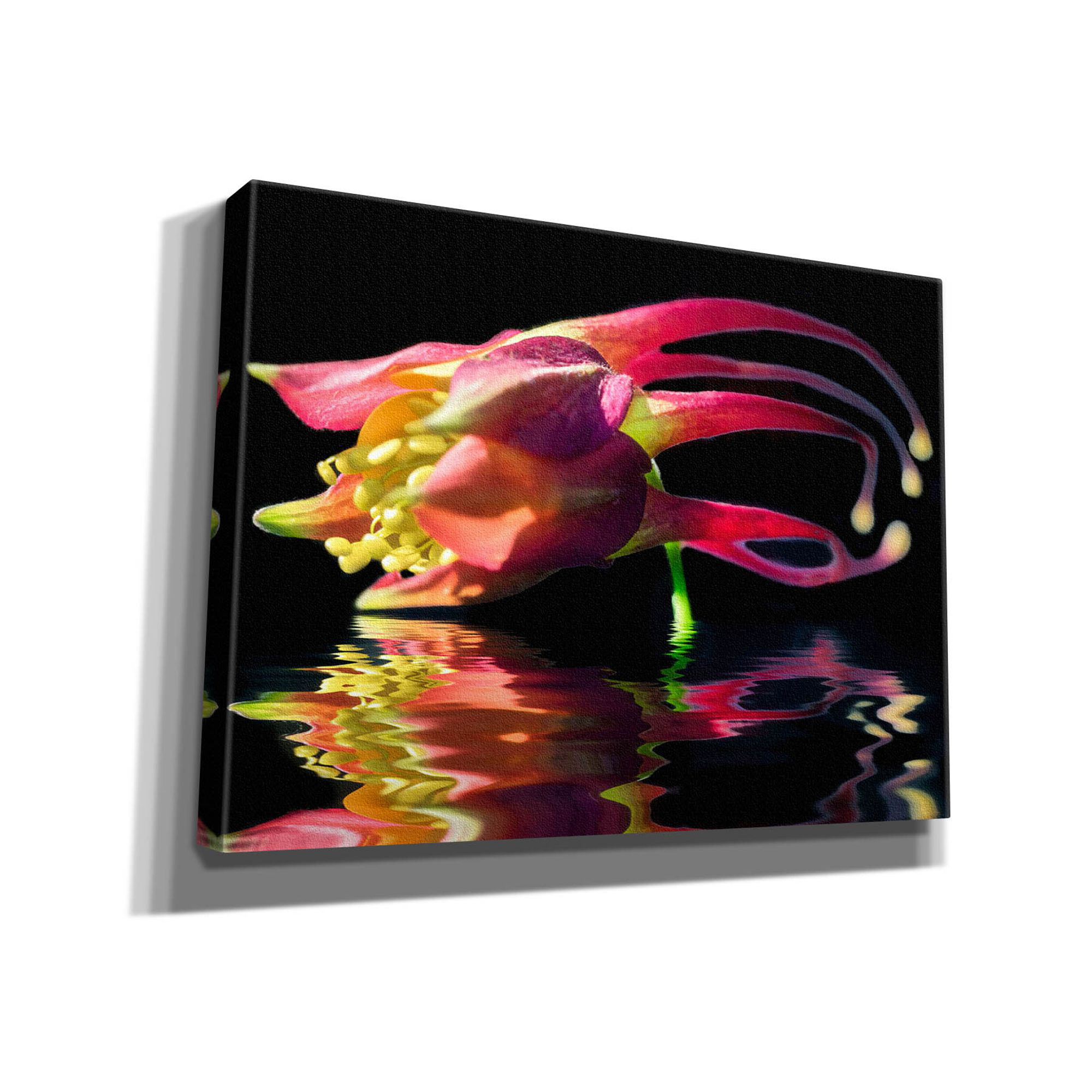 Latitude Run® Columbine Reflection On Canvas by Pamela Plummer Print ...