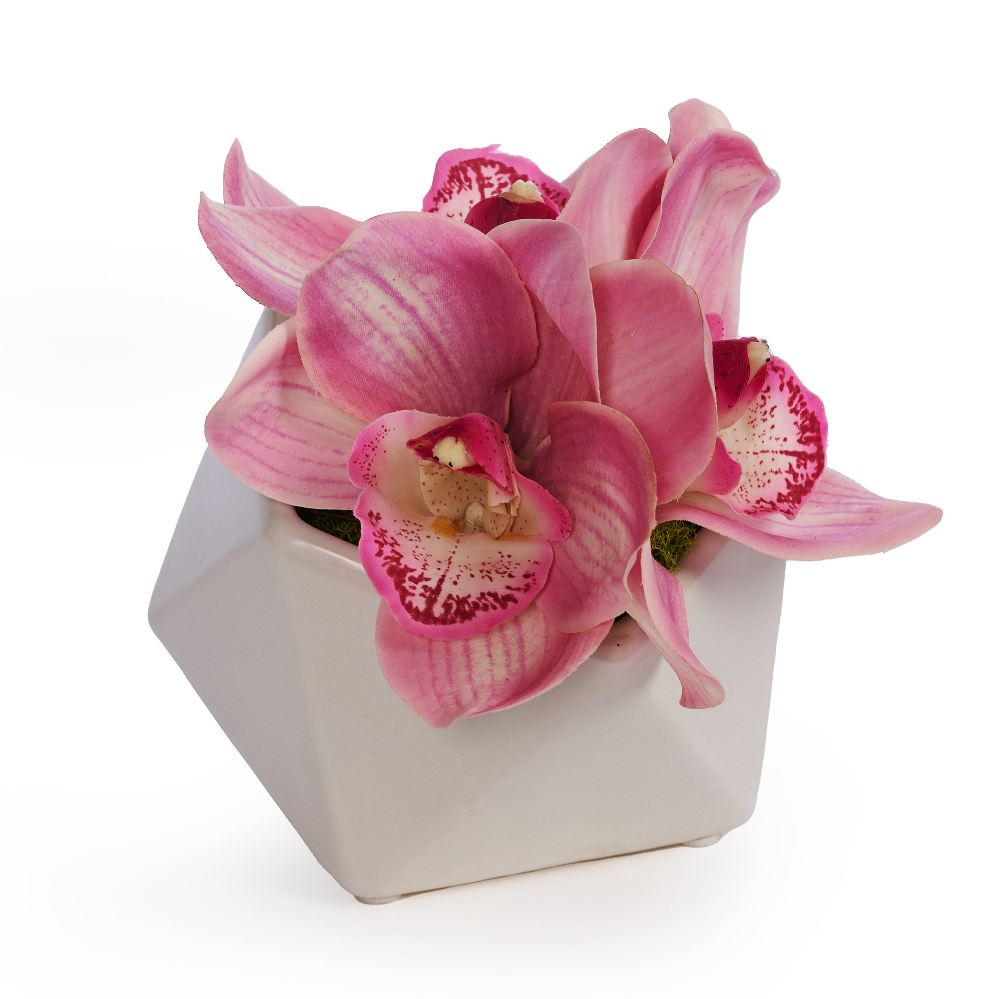 T&C Floral Company Orchid In Pod Orchid Arrangement in Pot | Wayfair