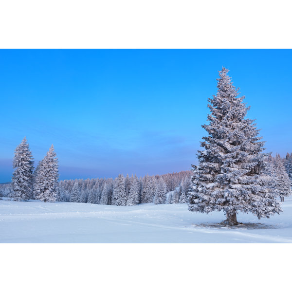 17 Stories Winter by Borchee - Wrapped Canvas Print | Wayfair.co.uk