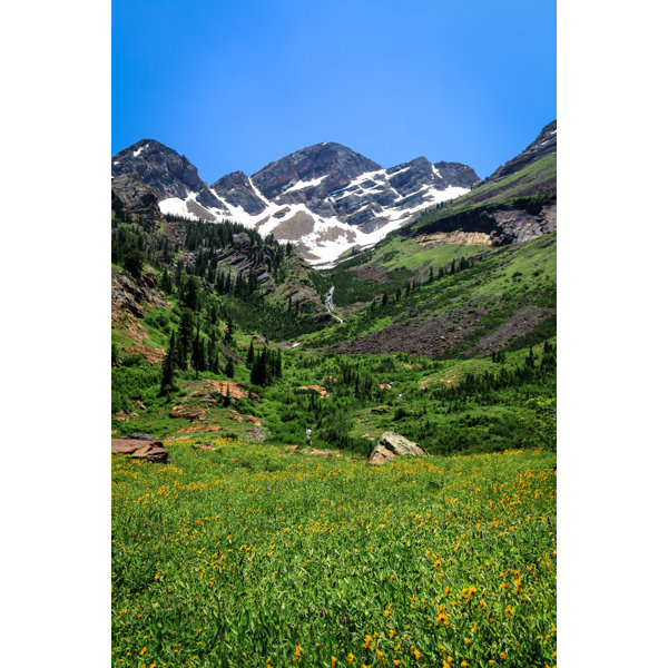 Alpen Home Frias Wasatch-Cache National Forest - Wrapped Canvas Print ...