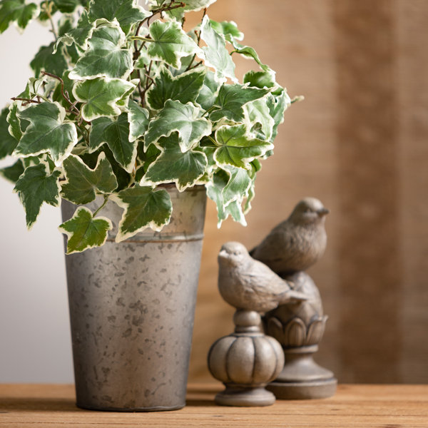 Joss & Main Quiller Bird Figurine Set & Reviews | Wayfair