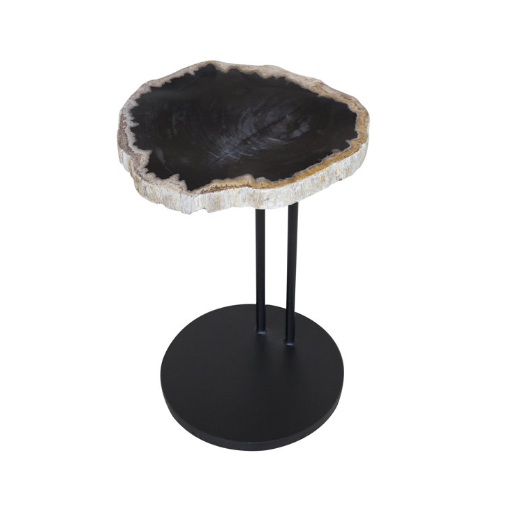 Union Rustic Saffr Walden Petrified Wood Side Table | Wayfair.co.uk
